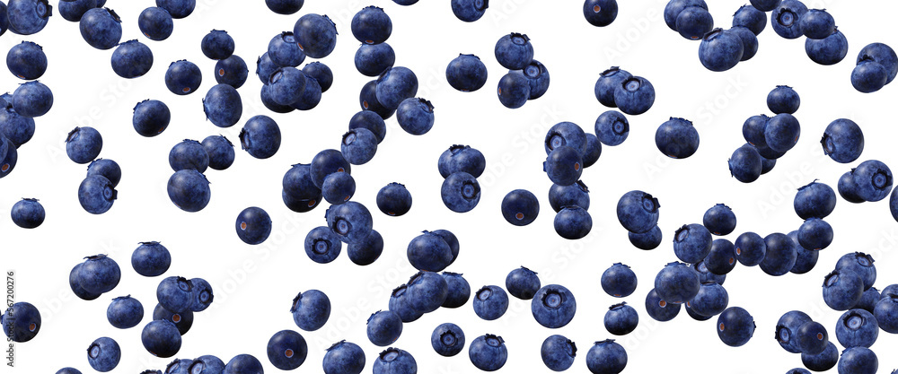 Fruit and healthy food concept. Fresh blueberry isolated on transparent ...