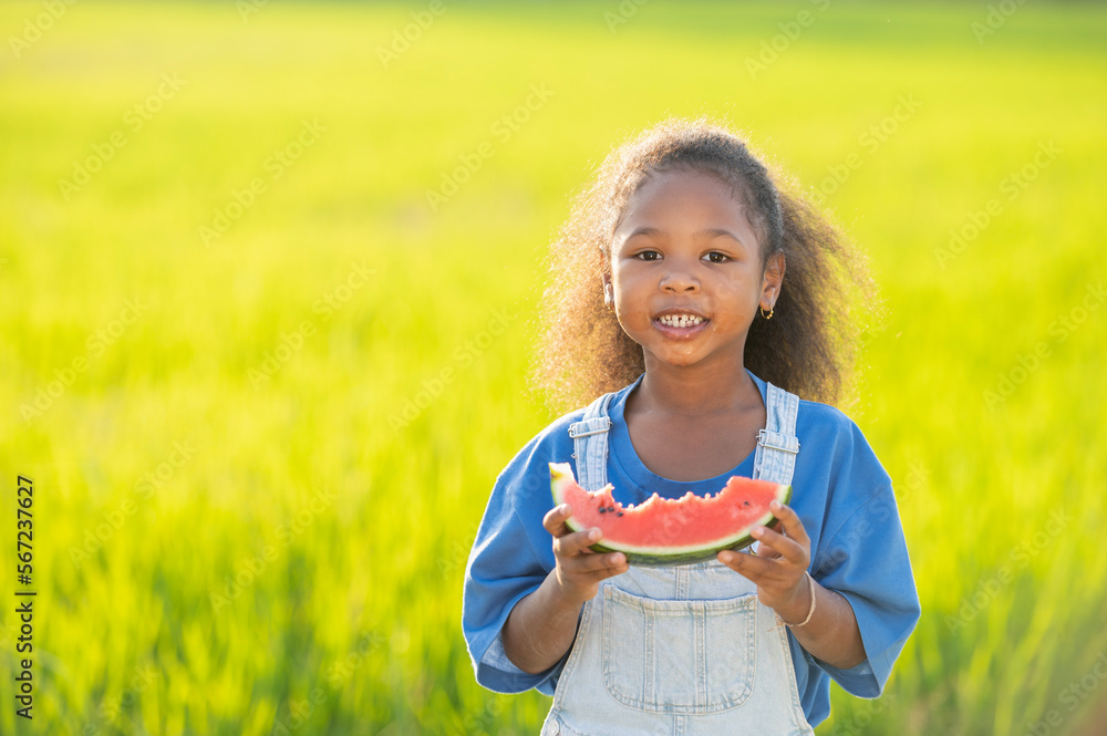 Black skinned cute little girl eating watermelon outdoors green rice ...