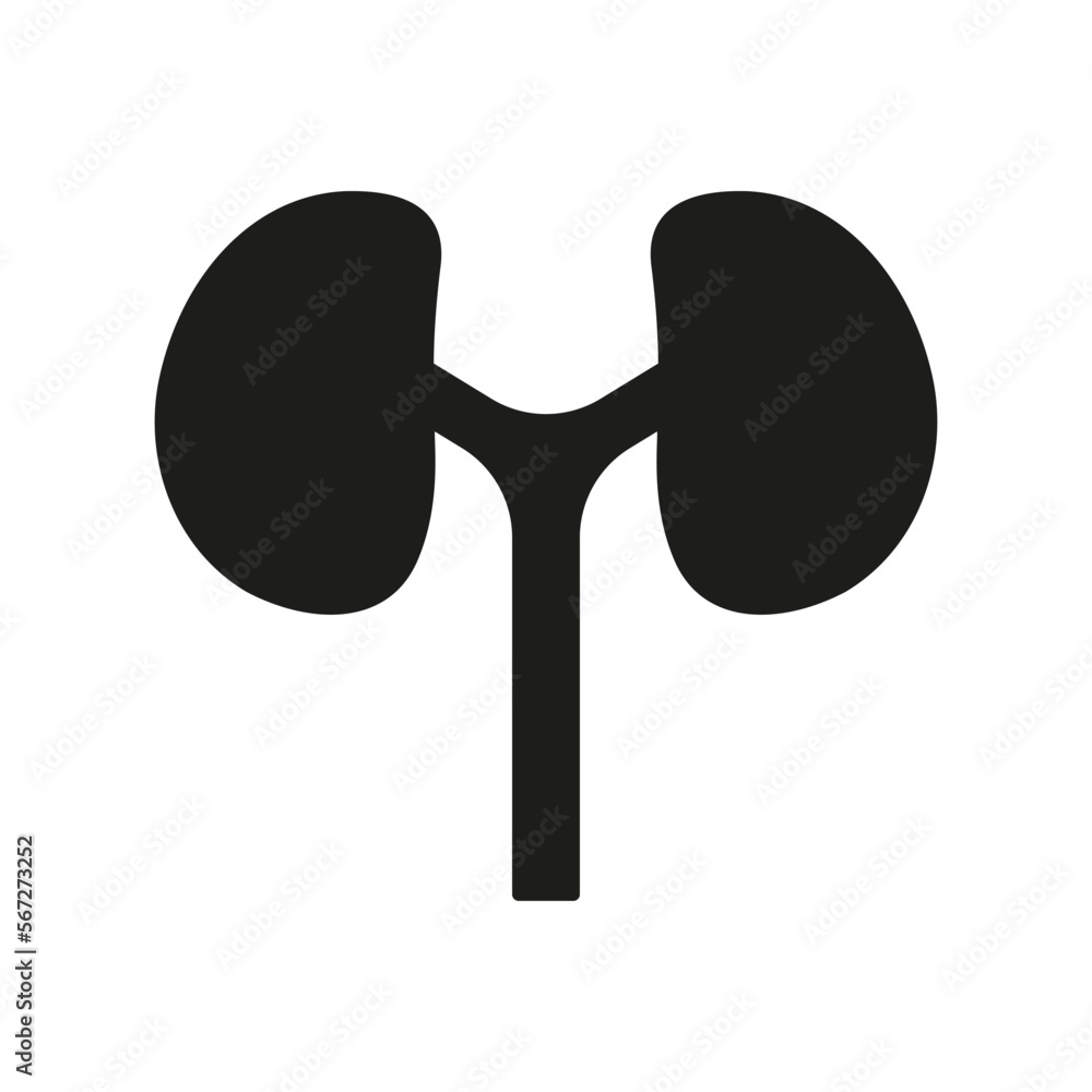 Internal Anatomy of Renal Organ Glyph Pictogram. Human Kidney ...