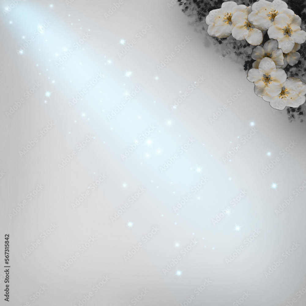 elegant floral art - Realistic botanical flower in corner and art ...