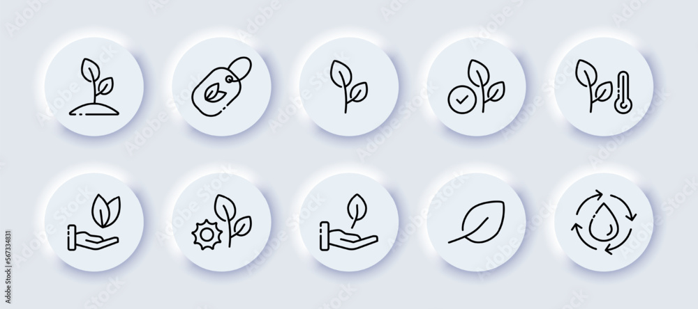 Botanical icon set. Leaf, medicines, treatment, immunity, doctor ...
