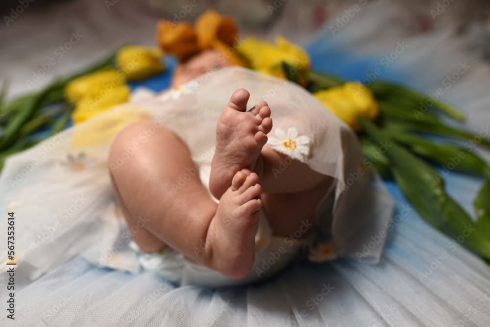 Little baby feet. Newborn baby Stock Photo | Adobe Stock