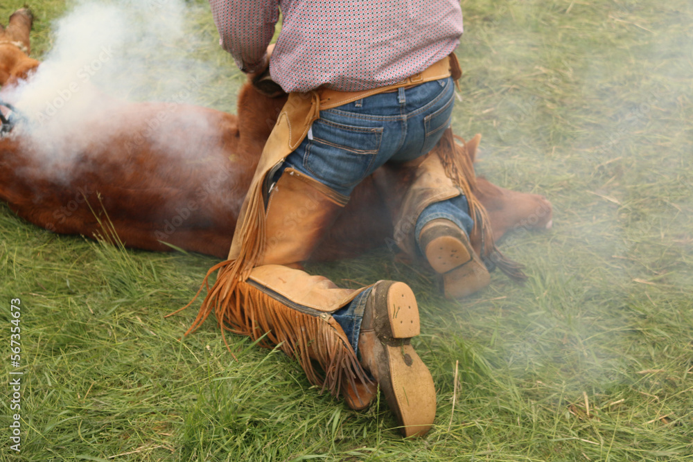 Rural scene of a cowboy wearing leather chaps and cowboy boots kneeling ...
