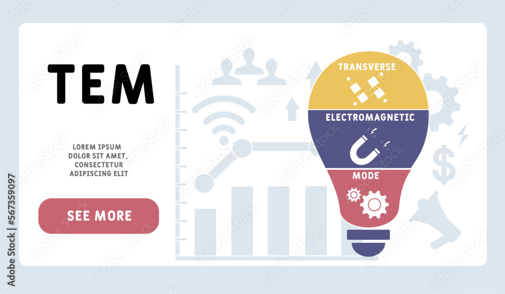 Vecteur Stock TEM - Transverse Electromagnetic Mode acronym. business ...