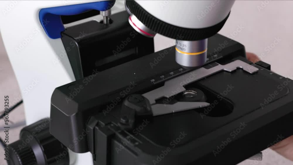 scientist moving the stage of a microscope up down left and right Stock ...
