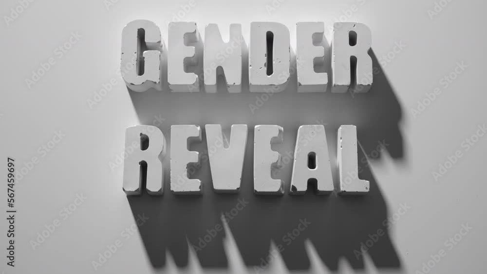 the word GENDER REVEAL appearing letter by letter on white background ...