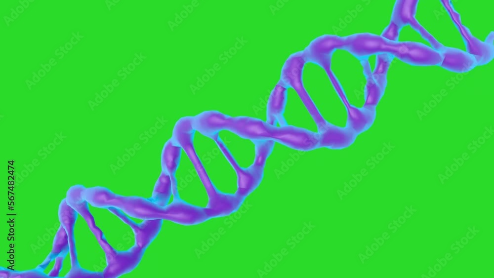 DNA molecules animation on a green screen. 3d rendering. Biotechnology ...
