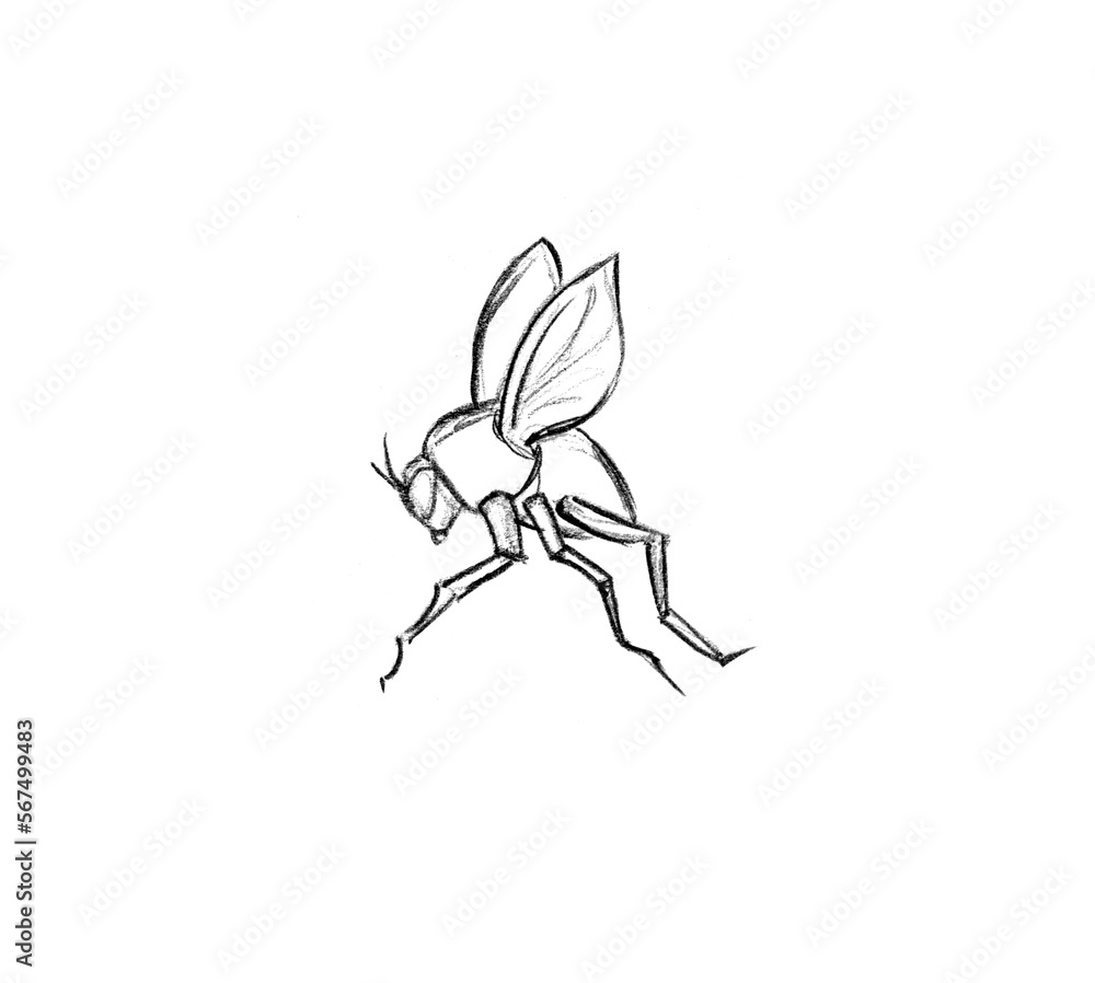 Pencil drawing. 3 Egyptian plague. Invasion of midges Stock ...