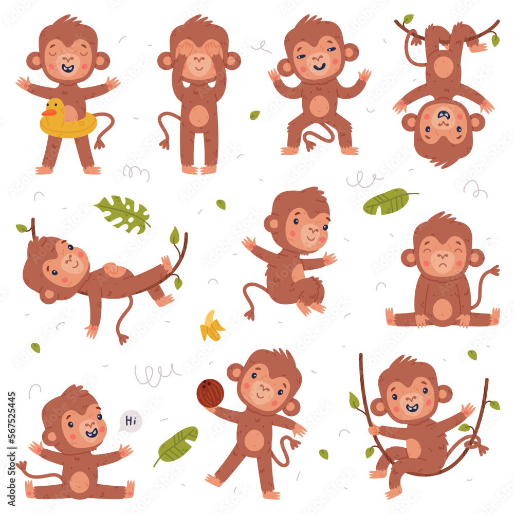 Funny happy baby monkey in different poses. Cute African tropical ...