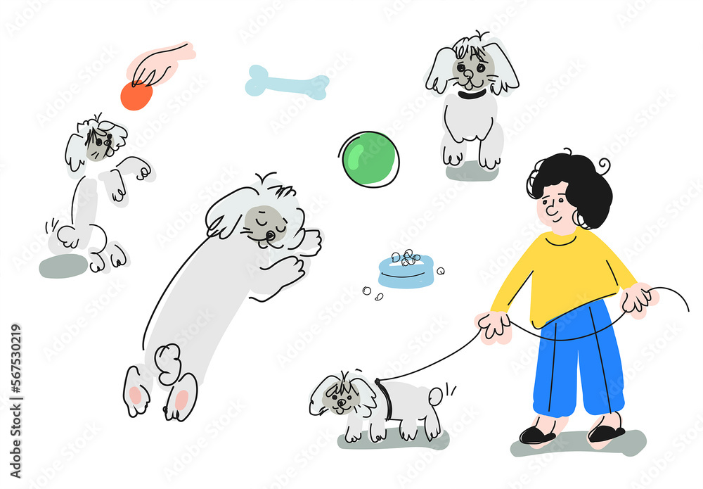 Cute and Fun Shih Tzu Illustration Layout Stock Template | Adobe Stock