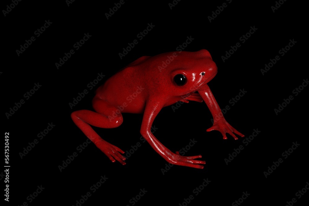 3d render of a Splendid Frog(Oophaga Sepciosa) an extinct species from ...