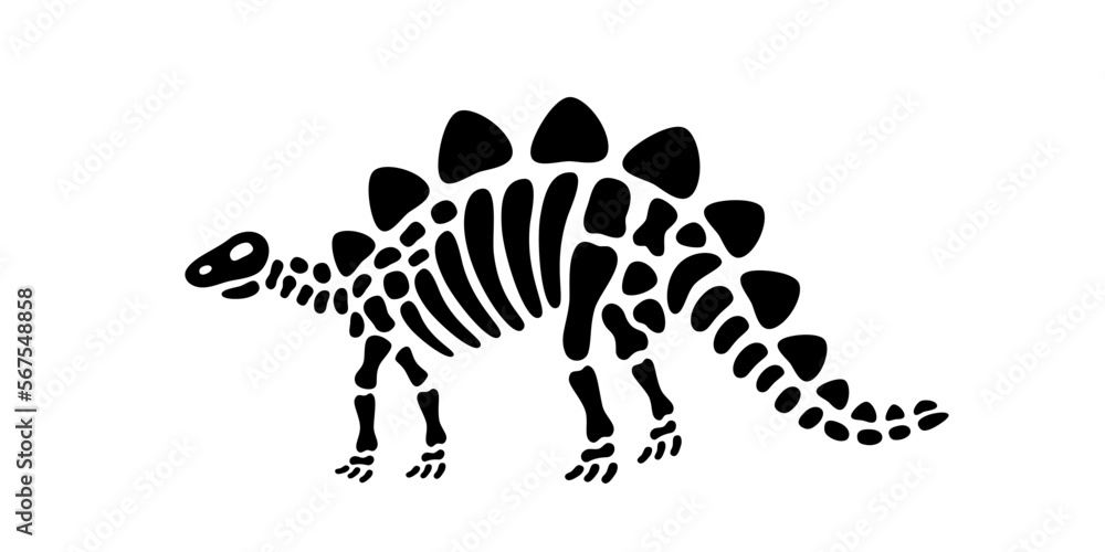 Stegosaurus skeleton. Stegosaurus fossil body parts. Dinosaur bones ...