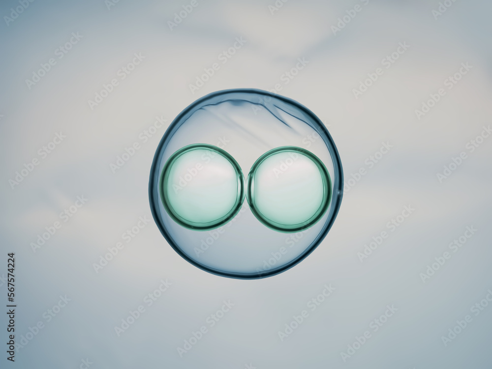 Cells division process, Cell divides into two cells Stock Photo | Adobe ...