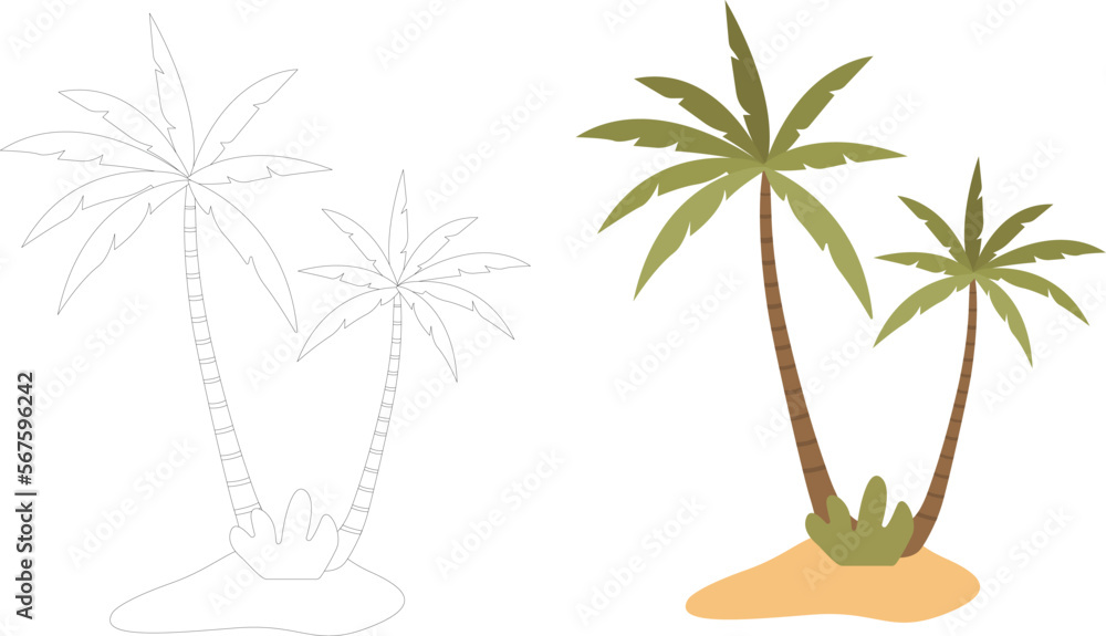 Coloring book.palms isolated on white background. Palm trees design for ...