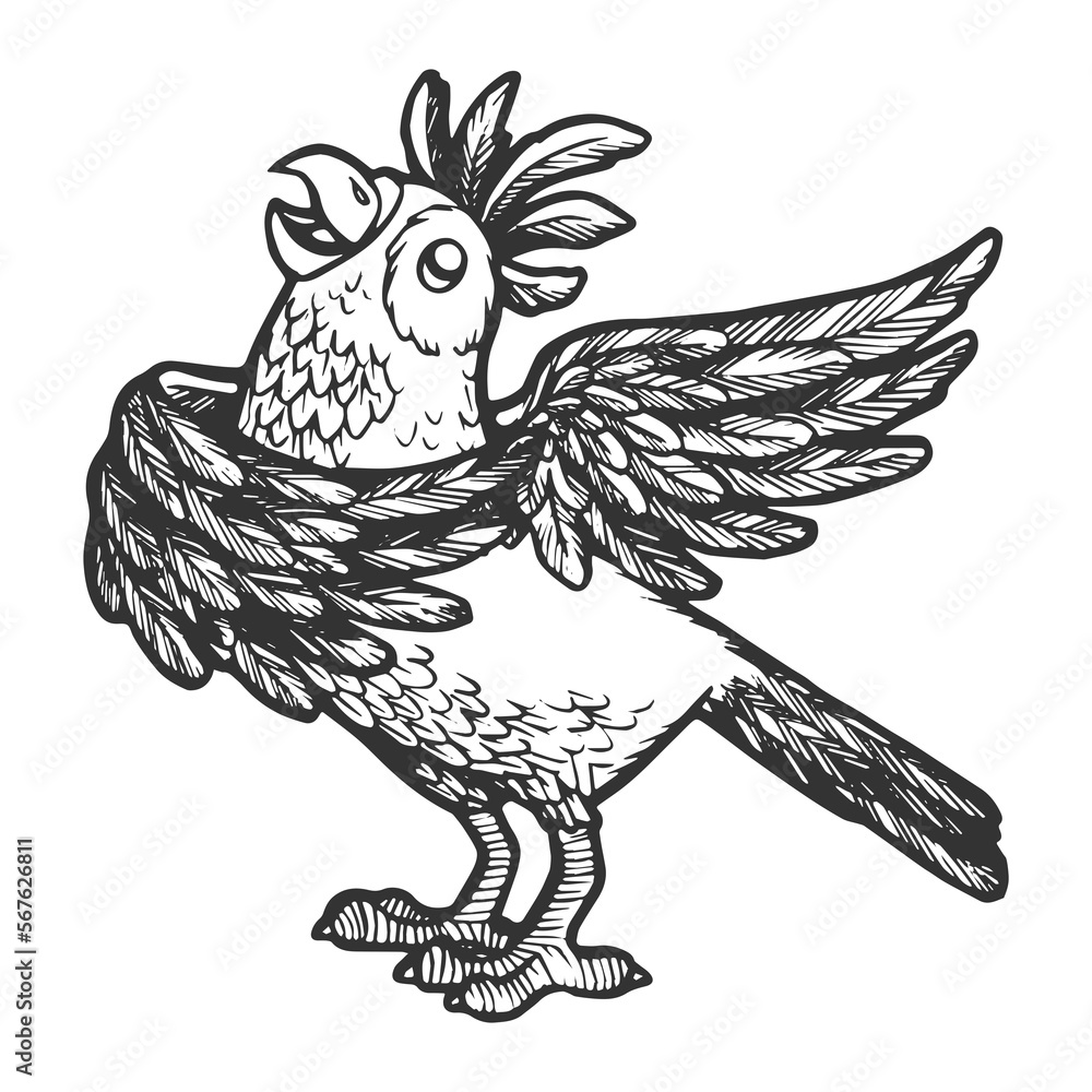 Cartoon singing parrot sketch engraving PNG illustration with ...