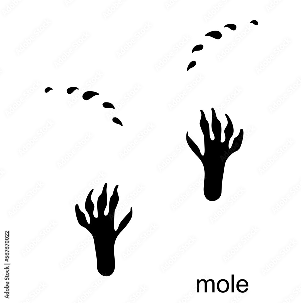 Mole footprint, mole track. Mole steps. Handprint in black color ...
