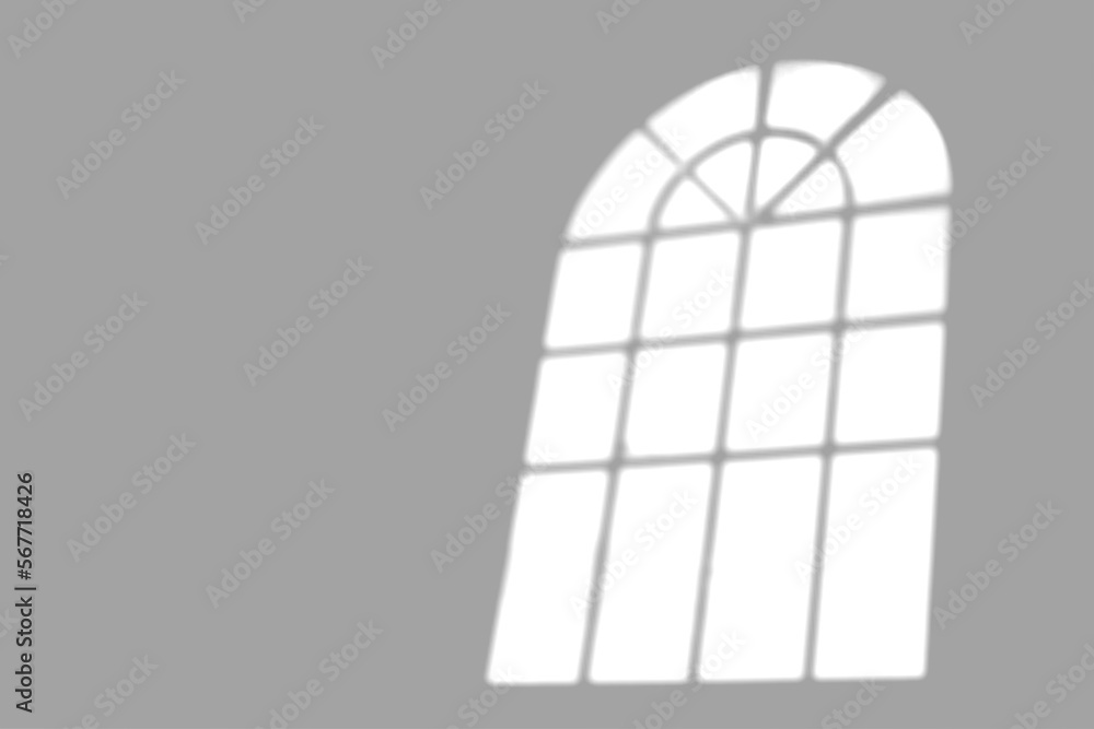 window shadow Tropical plant overlay element for portrait easy to use ...