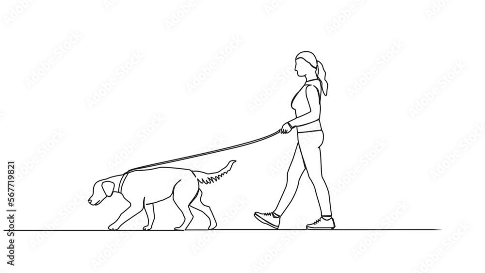 animated continuous single line drawing of woman walking her dog, line ...
