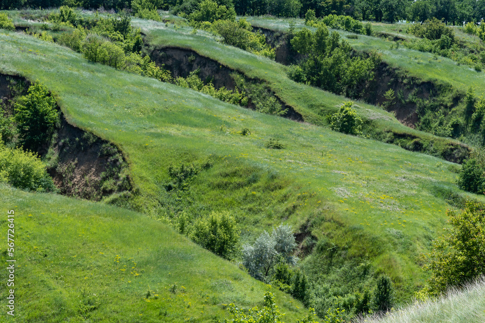 Ravine covered with greenery. Landscape valley with geological faults ...