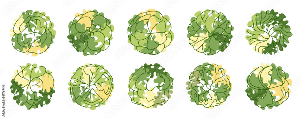 Tree for architectural floor plans. Entourage design. Various trees ...