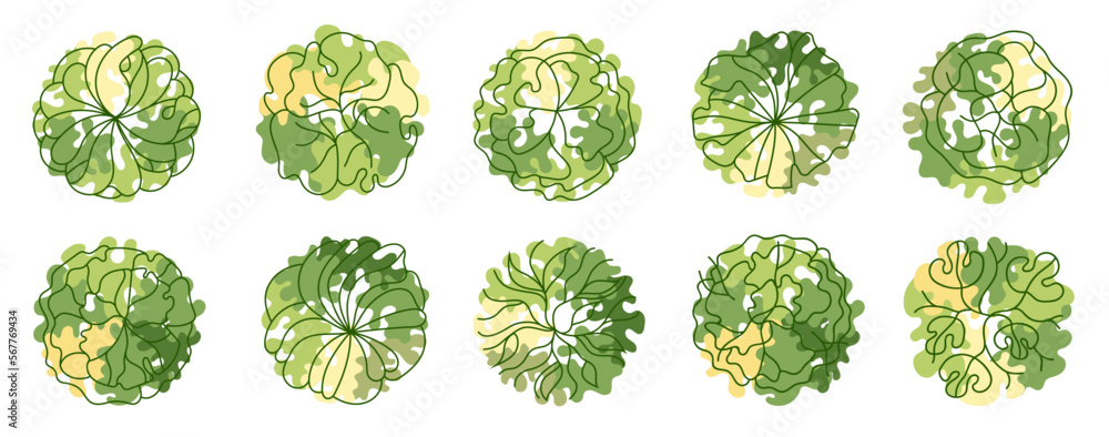 Tree for architectural floor plans. Entourage design. Various trees ...