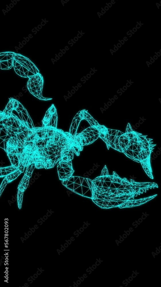 vertical video 4k wireframe animation -Forest scorpion in an aggressive ...