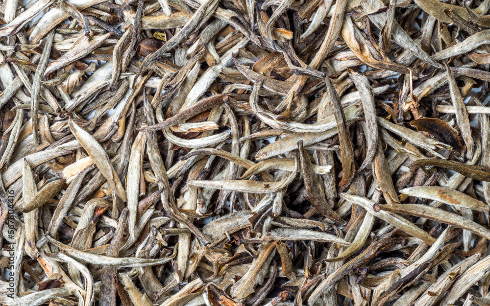 Feuilles de thé blanc originaire du Japon avec des grains de riz ...