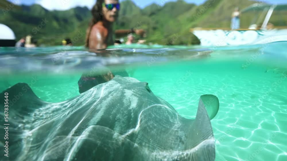 Underwater Tahiti. Traditional Polynesian man swims with sting ray ...