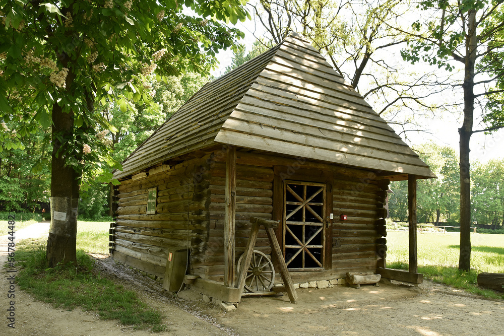 chata ludowa, chata rustykalna, chata pod strzechą, kwitnąca kalina ...