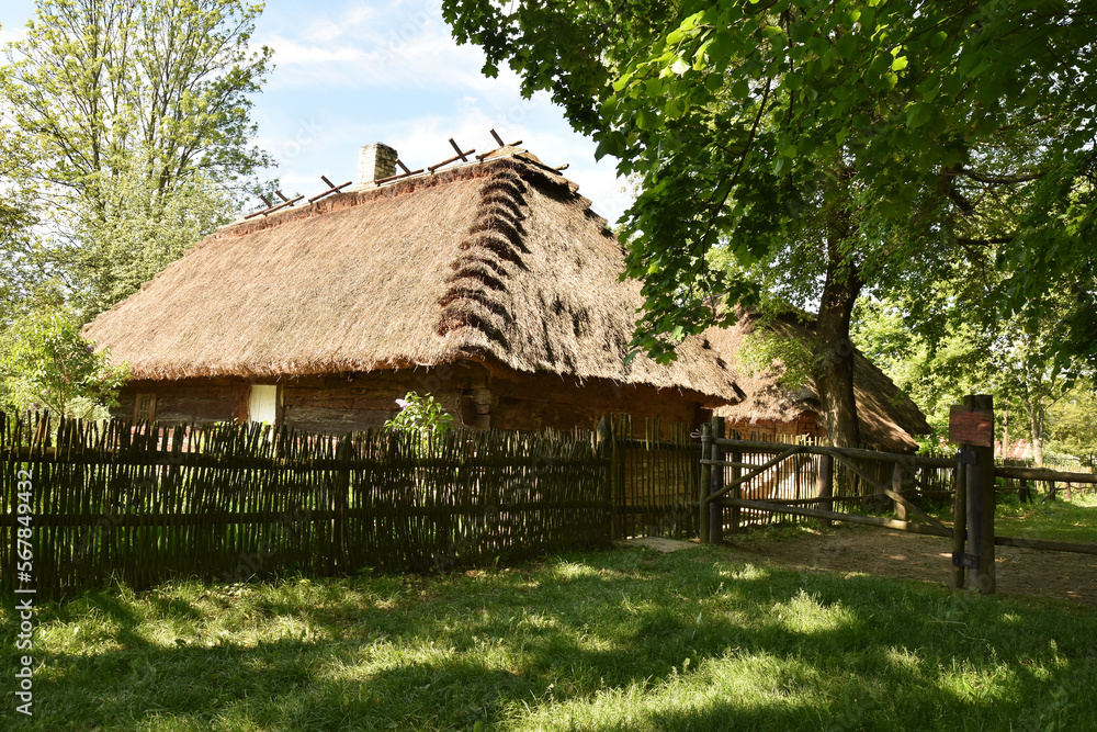chata ludowa, chata rustykalna, chata pod strzechą, kwitnąca kalina ...