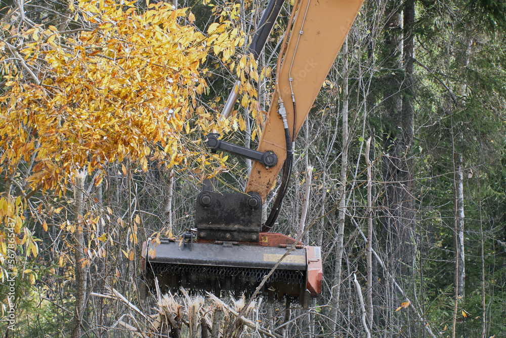 Forestry mulcher excavator clears roadside from small trees and shrubs ...