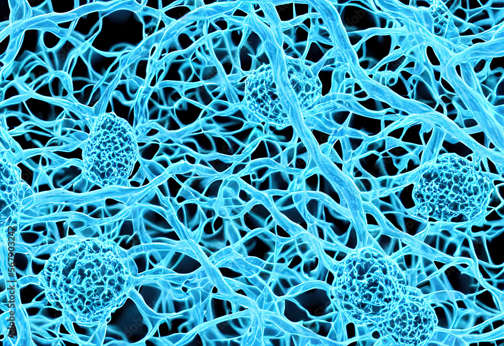 Microscopic images of nodes and nerves system in biological condition ...