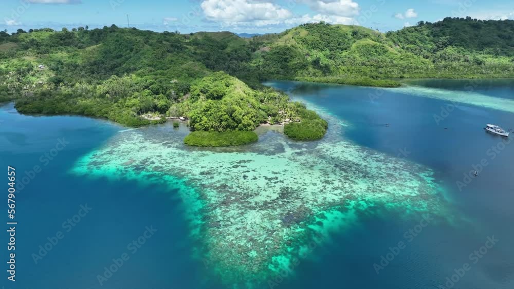 Shallow, healthy coral reefs fringe a lush island in the Solomon ...