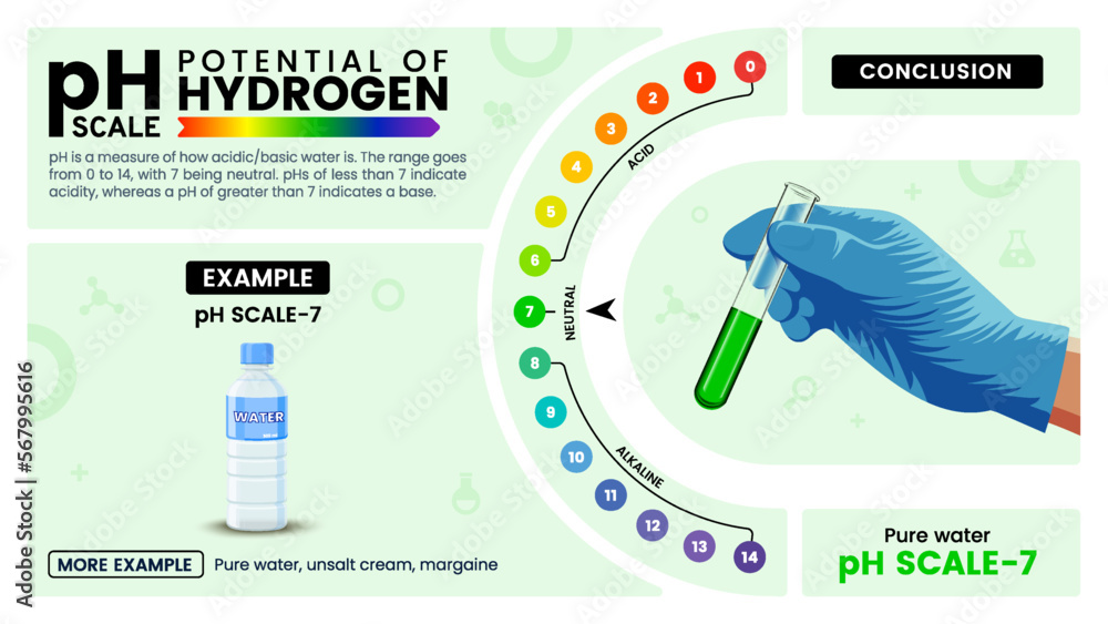 pH scale seven properties, calculation and examples - Vector ...
