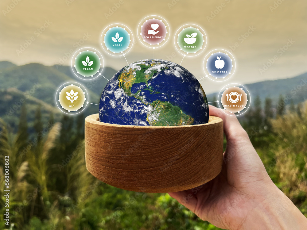 Sustainable food concept on blurred nature background, plant based ...