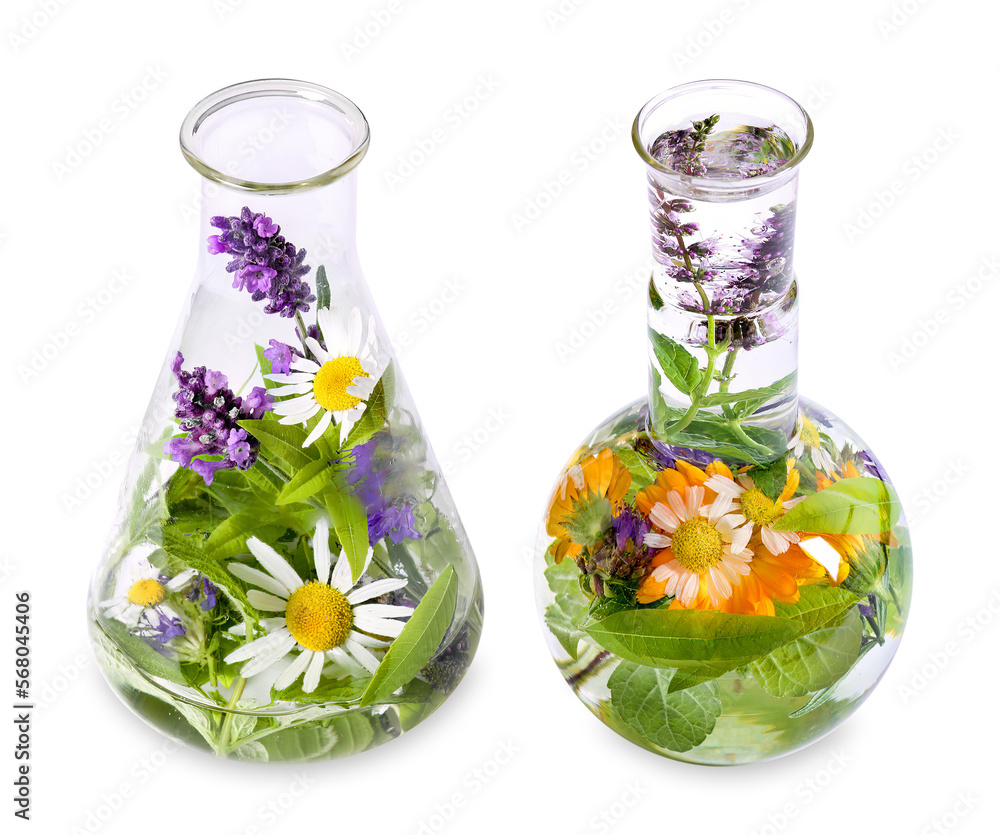 Erlenmeyer flasks with medicinal herbs, transparent background Stock ...
