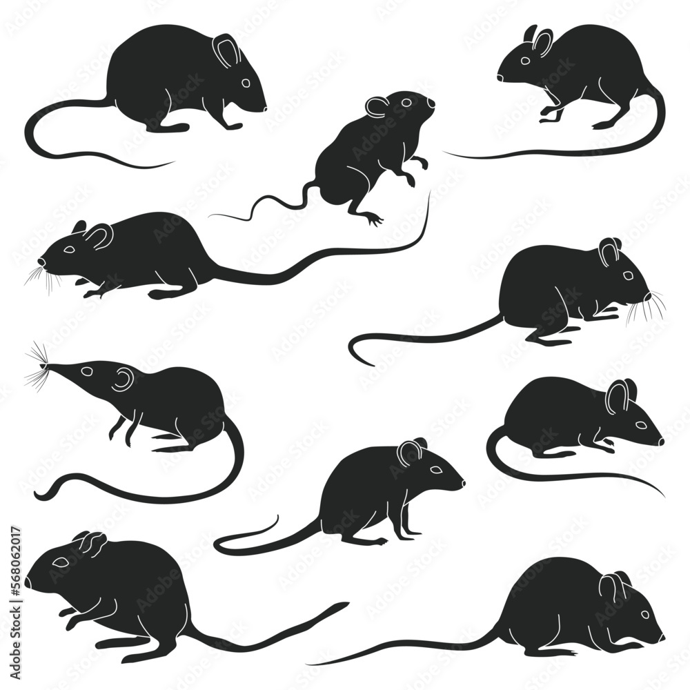 Mouse of animal isolated black set icon. Vector illustration mouse of ...