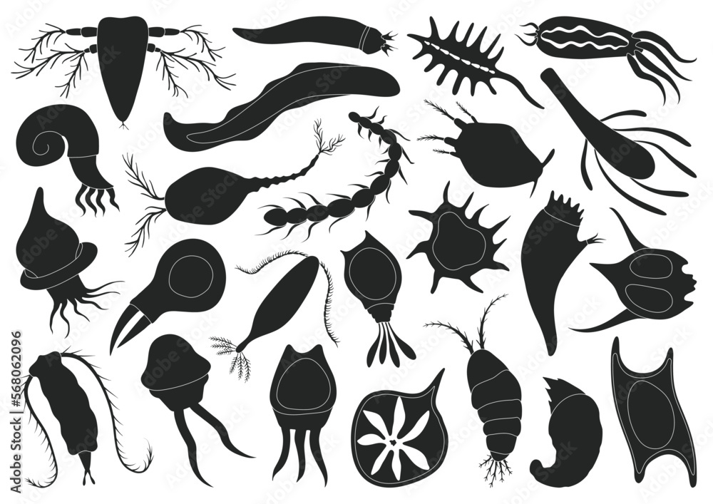 Plankton vector black set icon. Isolated black set icon phytoplankton ...
