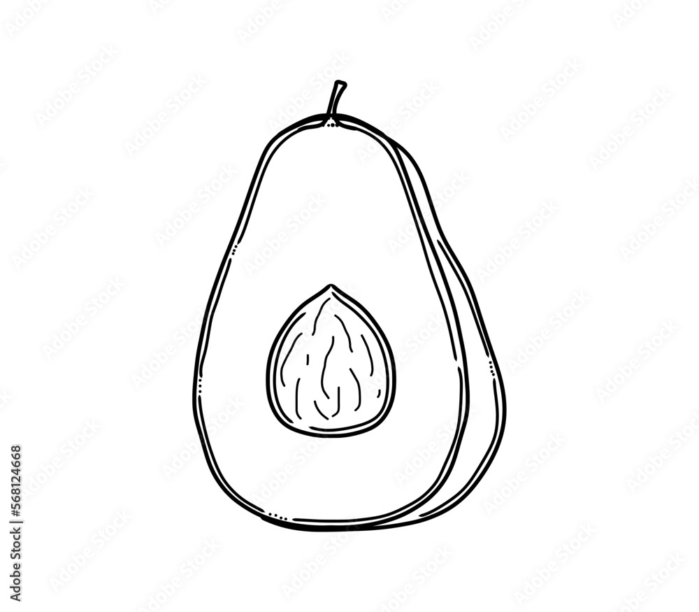 Avocado, a cut fruit with a stone, freehand drawing, with a black ...