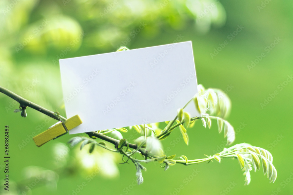 Selective soft focused White blank paper business card mock up clipped ...