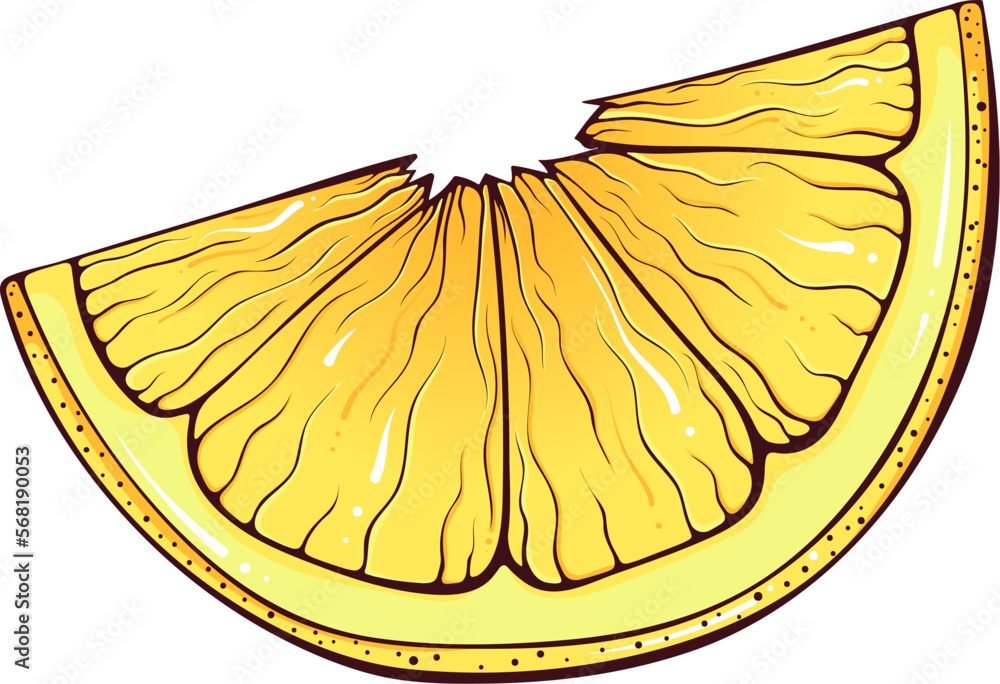 One slice of lemon. Vector color illustrations in hand drawn cartoon ...
