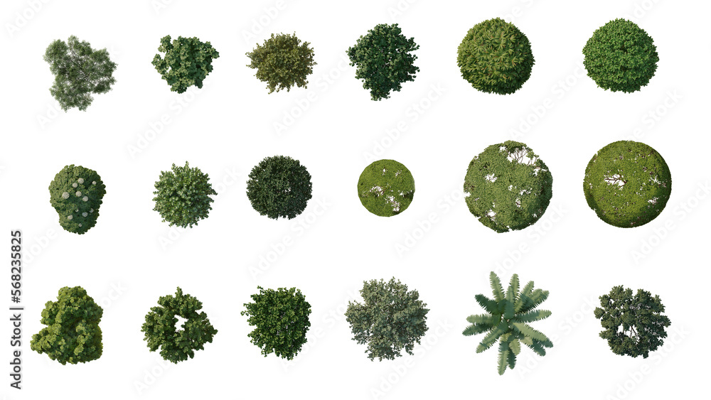 Collection of plan 2D view bushes Isolated on PNGs transparent ...