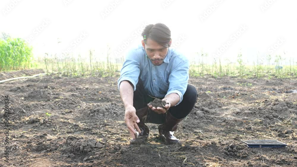 Asian farmers check soil quality in fields before tillage. Prepare the ...