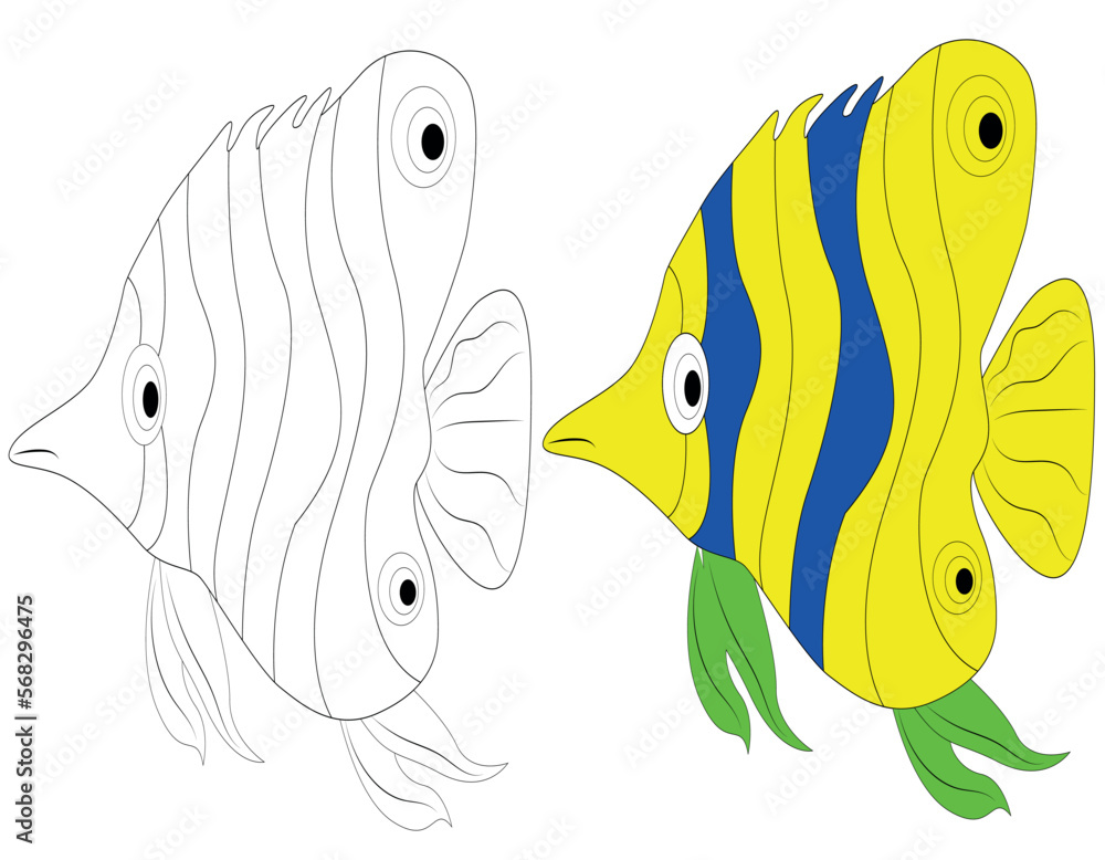 Queen Atlantic Ocean Angelfish vector line art Isolated illustration ...