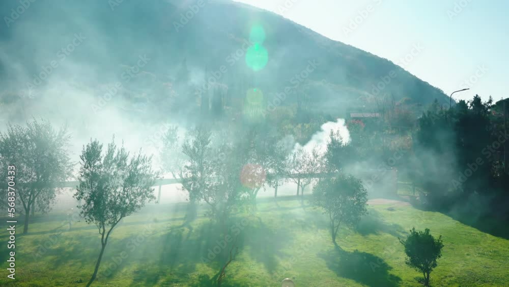 Vídeo do Stock: Burning countryside house and forest, thick smoke ...