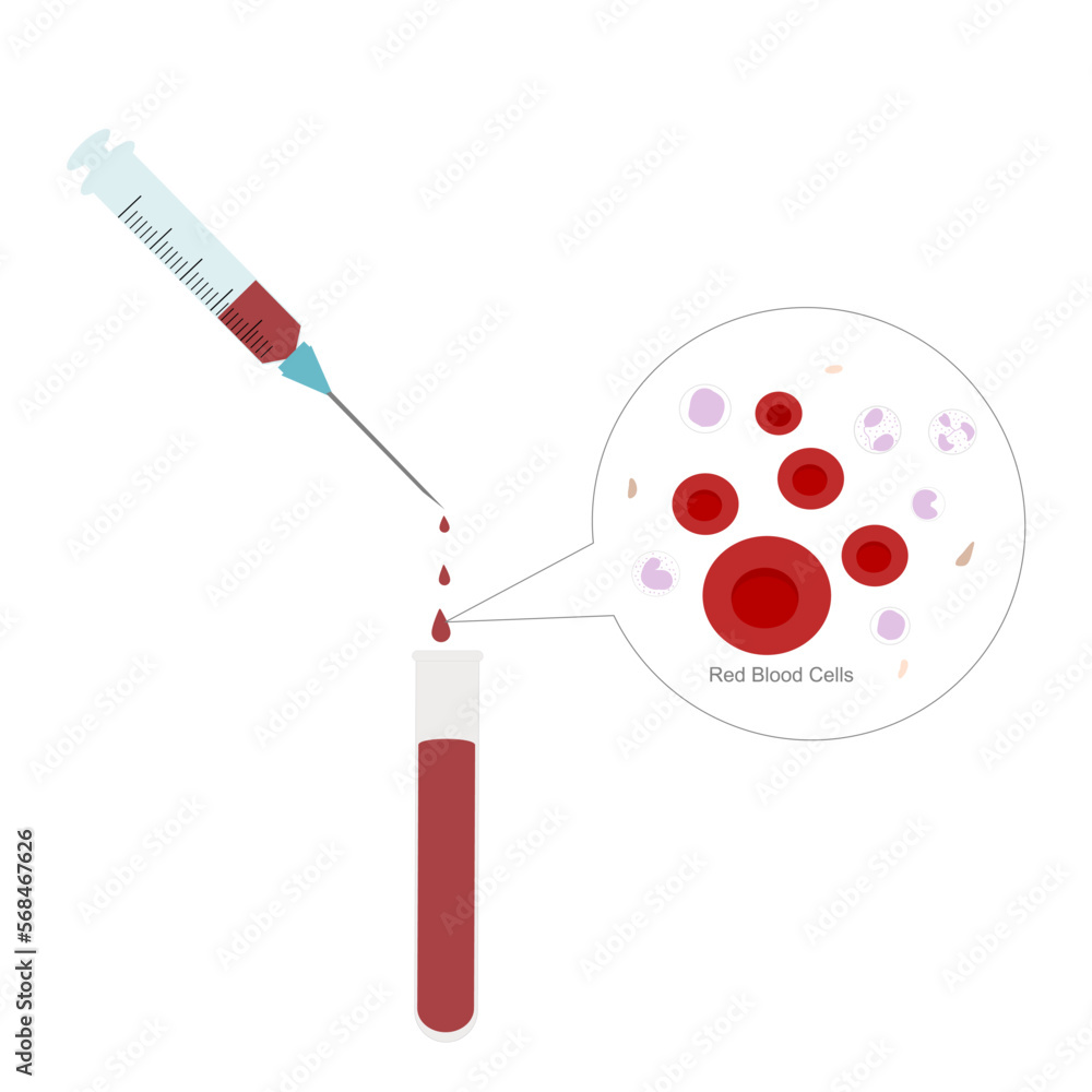 The concept picture of various types of blood cells (Red, White and ...