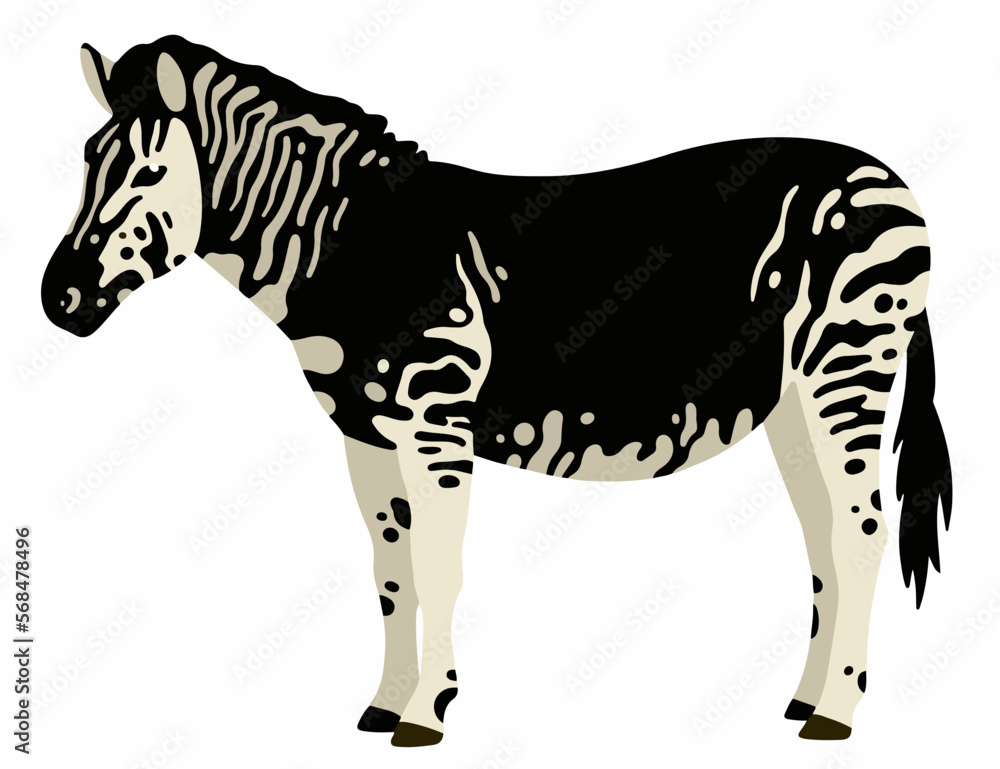 Melanistic Zebra