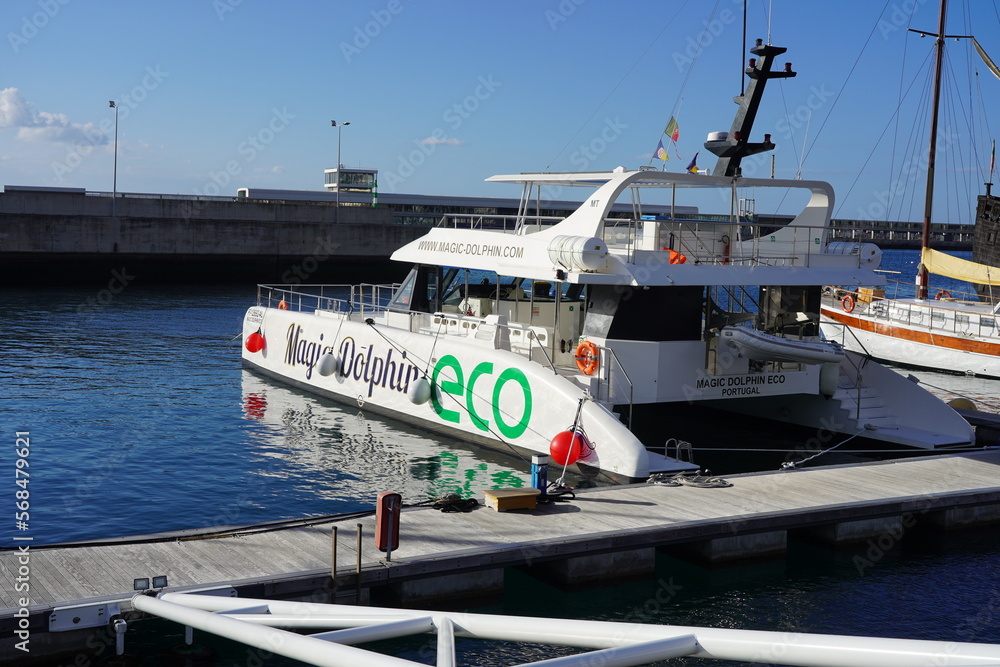 Katamaran für Delfin- und Walbeobachtungen von Magic Dolphin in der ...