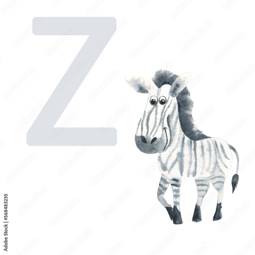 Letter Z, zebra, cute kids animal ABC alphabet. Watercolor illustration ...