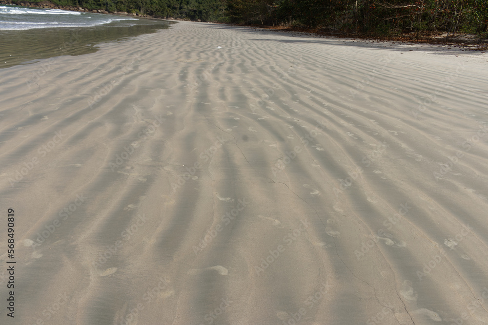 Desert tropical beach, near the forest in Dois Rios, Brazil. Amazing ...
